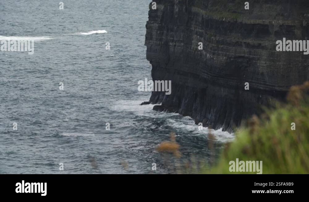 Waves crash against cliffs of moher with breeze in grass Stock Video ...