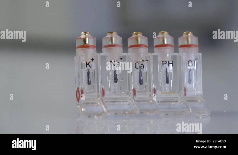 Electrolyte Analyzer Electrodes With Labels In The Laboratory For ...