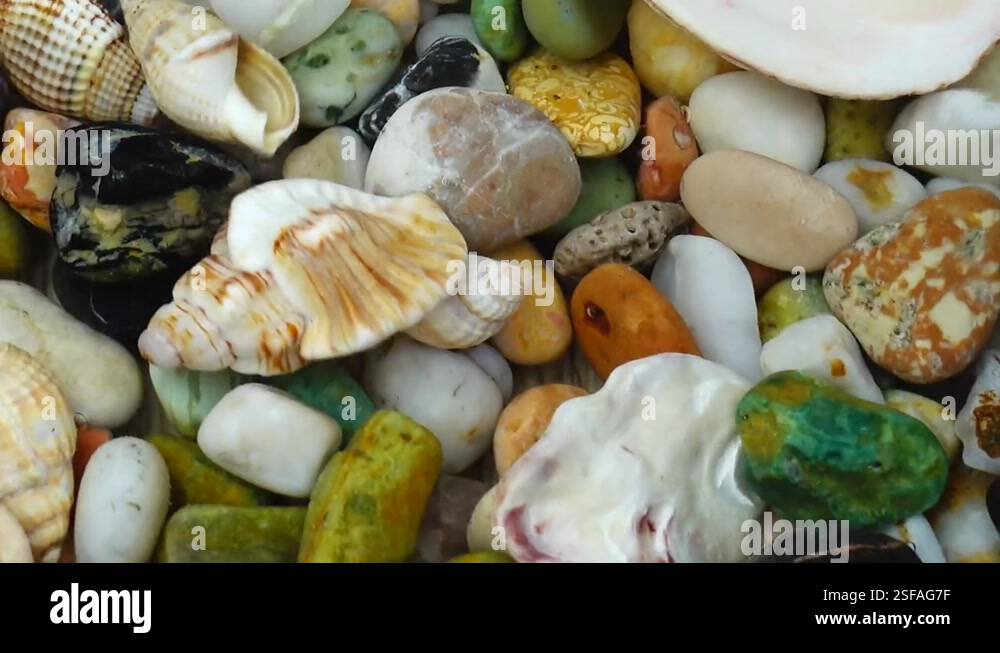Sea shells and stones underwater. Ripples on the surface Stock Video ...