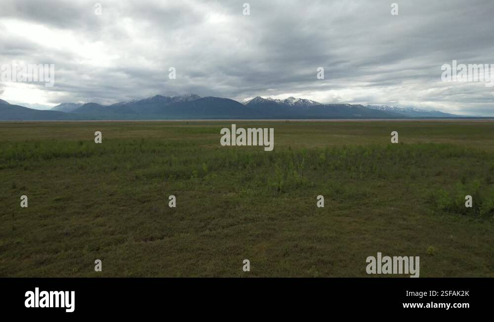 Aerial Fly Through Trees To Reveal View of Alaska Mountains In Distance ...