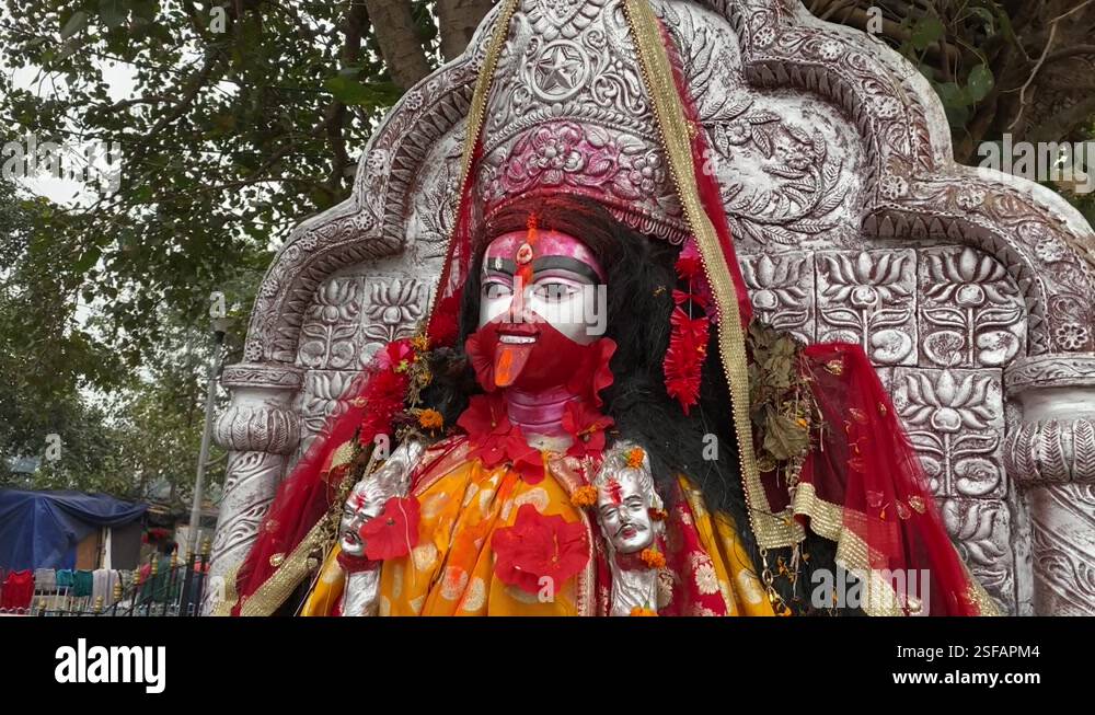 Goddess in the tree Stock Videos & Footage - HD and 4K Video Clips - Alamy