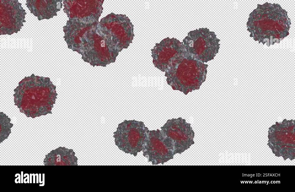 White blood cells flow, Monocyte, Alpha Channel Stock Video Footage - Alamy