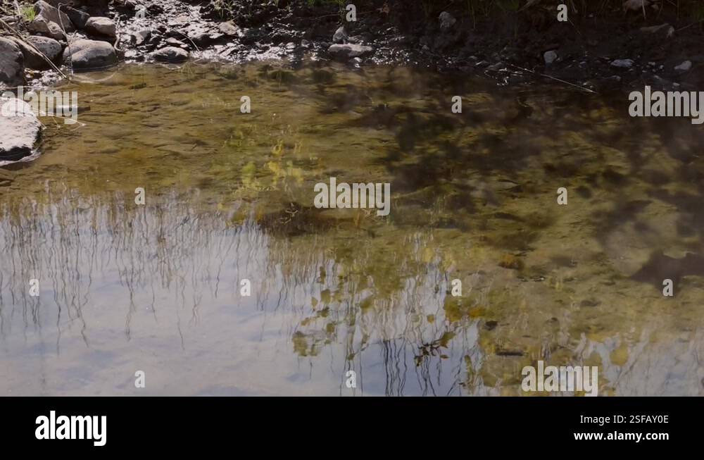 steam rising off hot spring reflection of grass on water during day at ...
