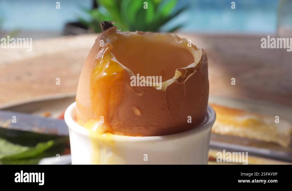 Runny yolk drips down a soft boiled egg as a fly lands on top to Stock ...