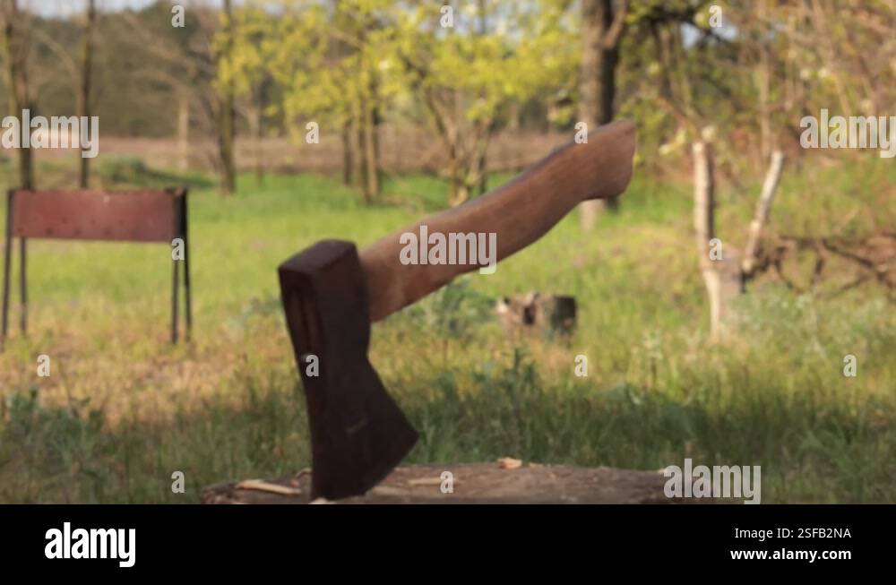 Axe stuck in log closeup. Rack focus from background to foreground, camera move Stock Video ...