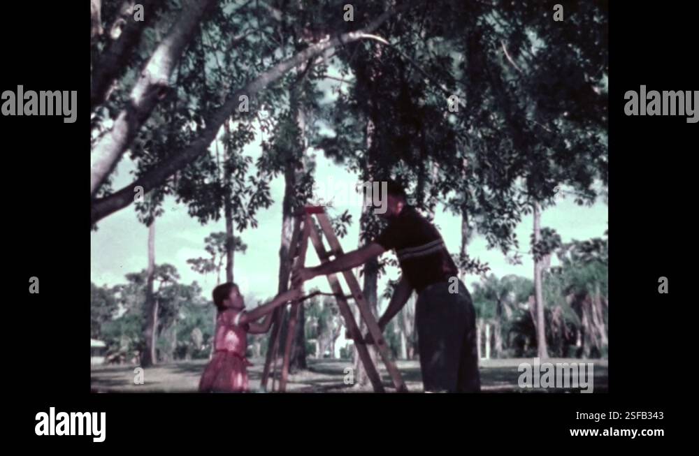 1950s: Man carries and sets up ladder under tree; girl follows. Man ...