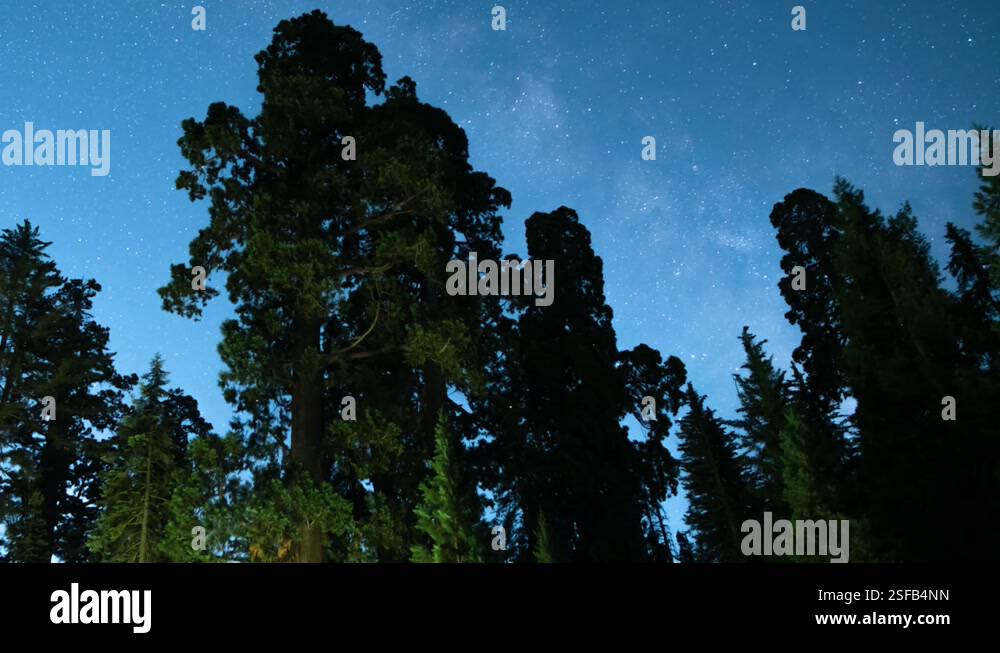 Sequoia Milky Way South Sky Over Sequoia and Kings Canyon National Park General Stock Video ...