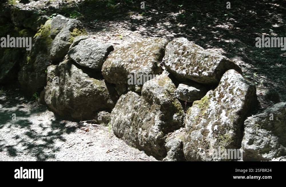 Slow motion view of stone walls with encrustations and shade of plants ...