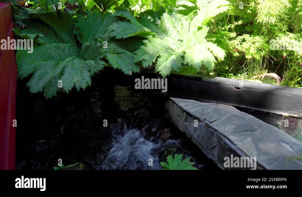 Dolly in of red wooden runway, pools and waterfall in Termas ...