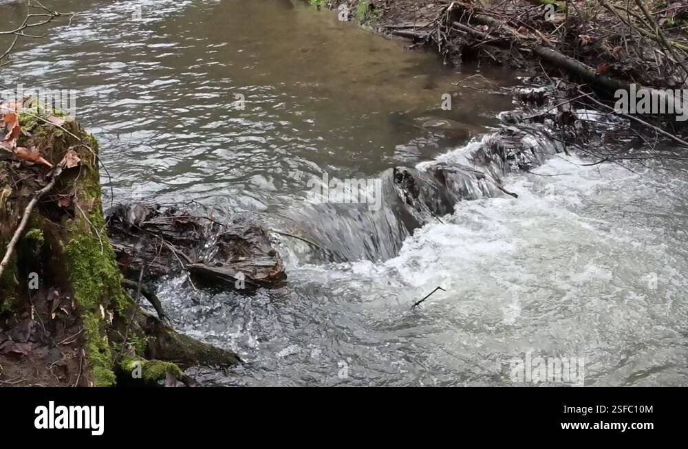 Mountain stream rapids in a forest, slow motion 120 fps Stock Video ...
