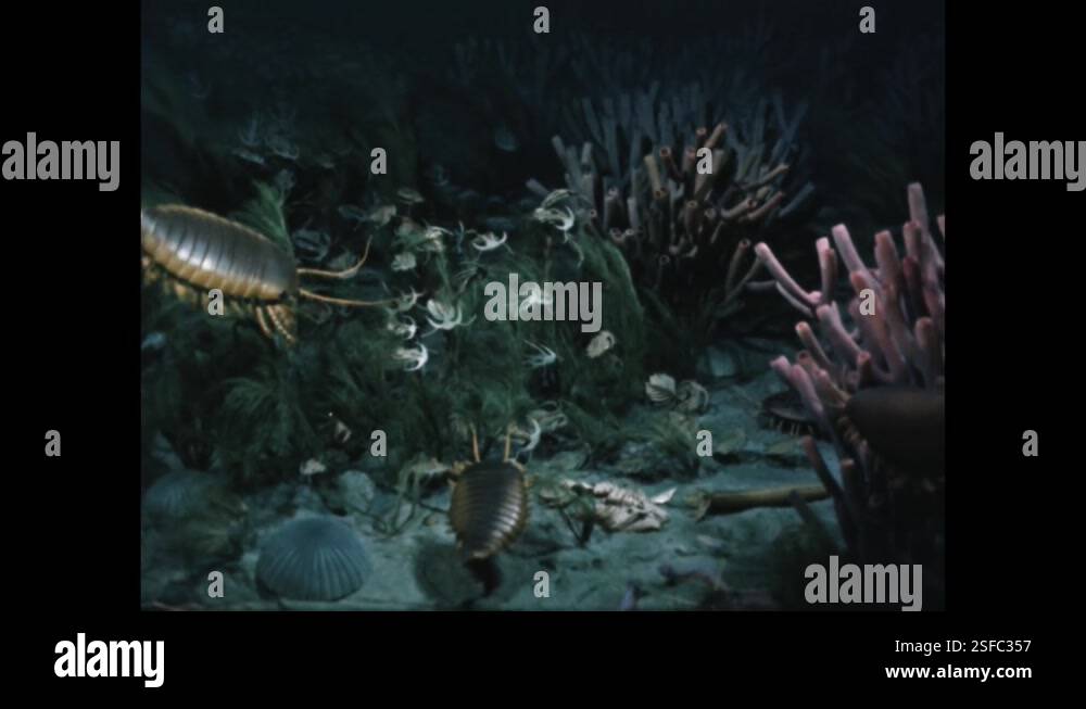1950s: Large-scale diorama of a prehistoric underwater scene with ...