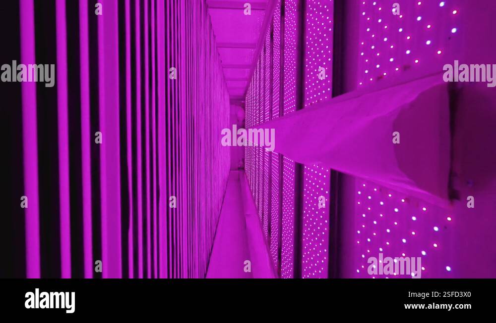 Red spectrum LED lights inside a container farm Stock Video Footage - Alamy