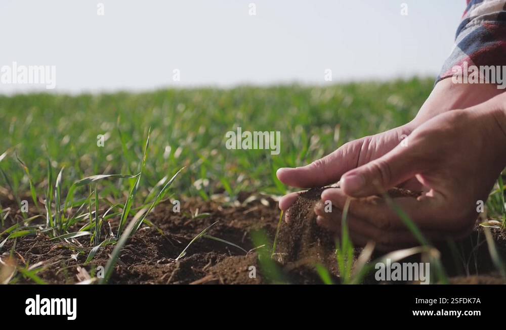 farmer man holds in hand lifestyle pile of dirt soil. eco farming ...
