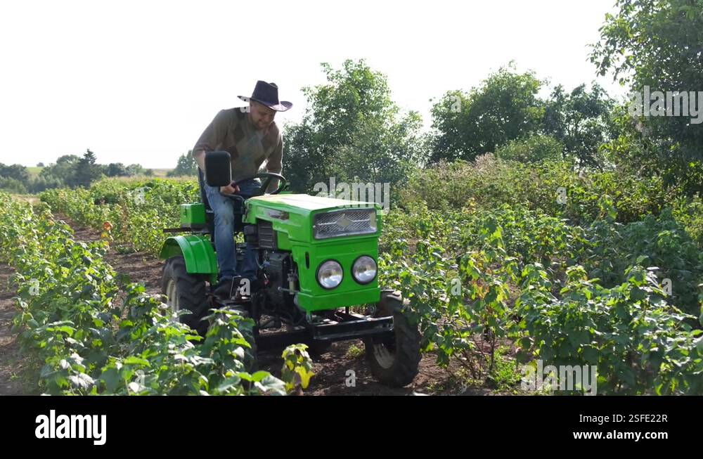 Tractor farmer harvest Stock Videos & Footage - HD and 4K Video Clips ...