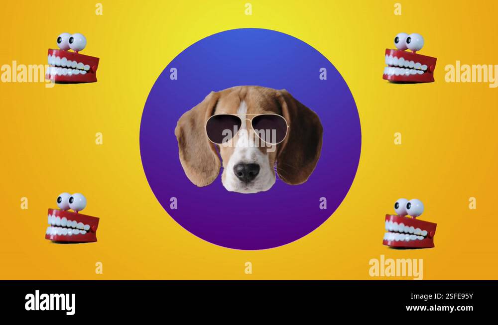 Funny Toy Teeth Jaw and Head of dog beagle animated collage ...