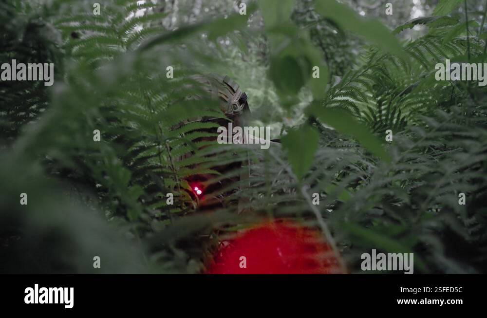 Soldier in dense forest sits in ambush, with a Kolashnikov assault ...