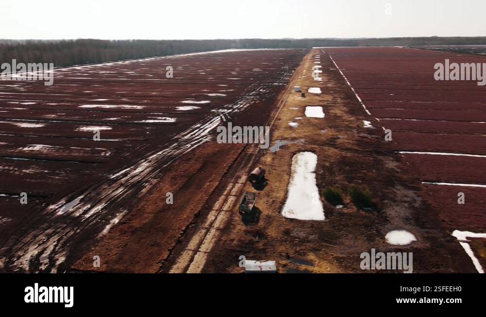 Peat extraction site. The drained areas of the bog are used for peat ...