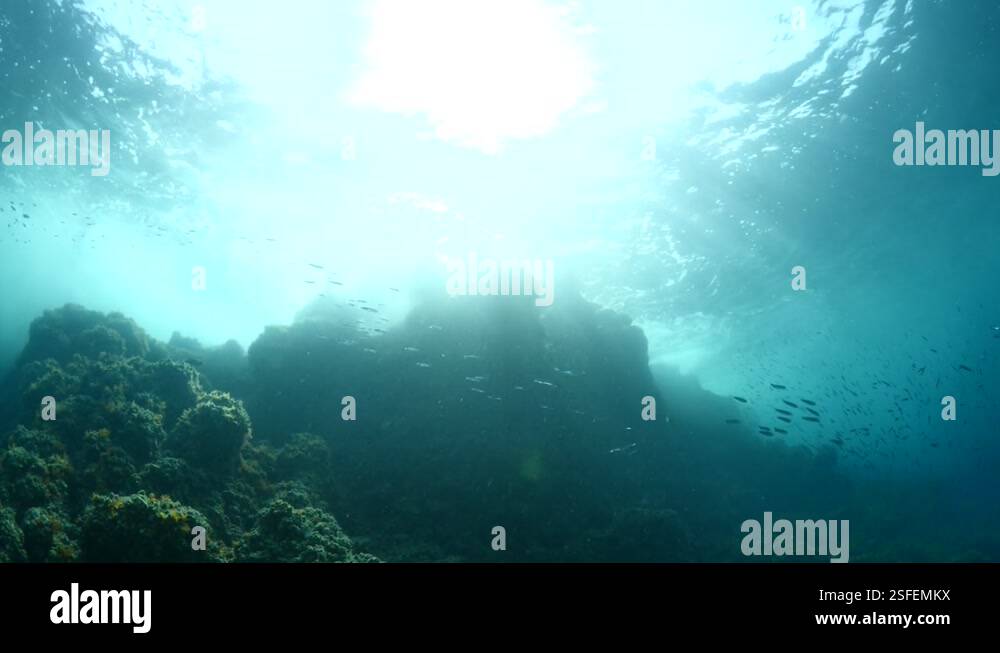 sun rays beam shine underwater fish around waves slow ocean scenery ...