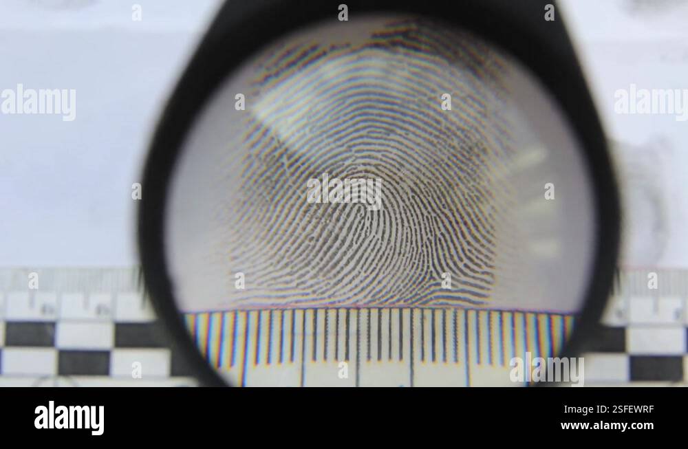 A forensic magnifying glass enlarges a fingerprint under which there is ...