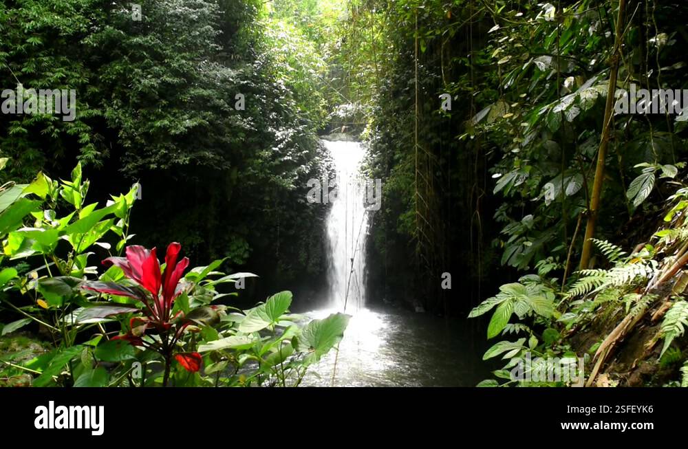 Small waterfall and serround at Babahan village of Tabanan Bali Stock ...