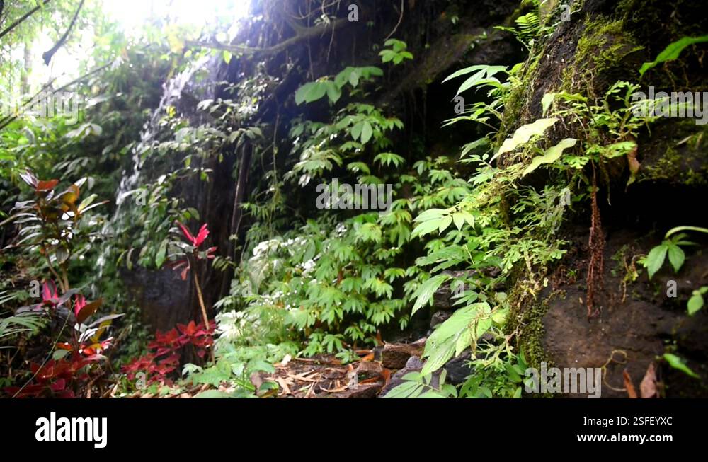 Small waterfall and serround at Babahan village of Tabanan Bali Stock ...