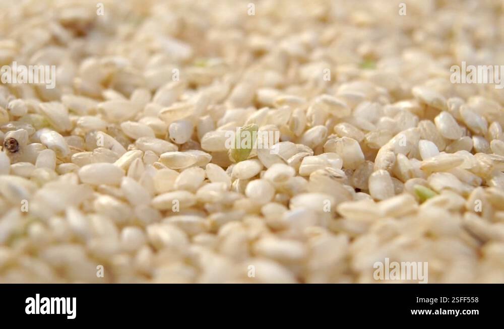 Integral, brown rice falling in slow motion. Raw organic ingredient ...