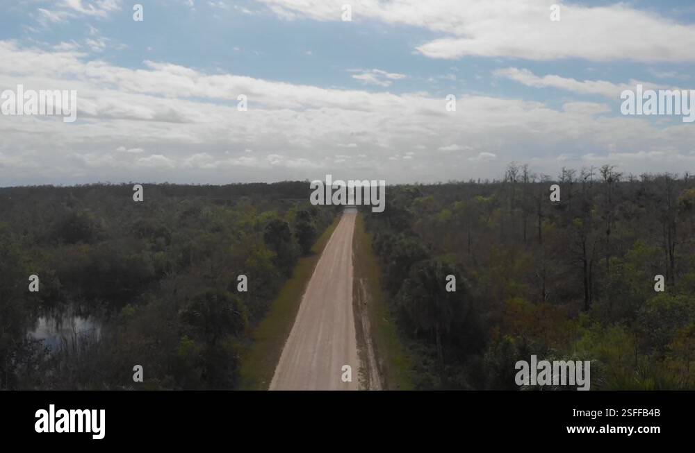 dirt road under highway overpass forest swamp canal everglades ...