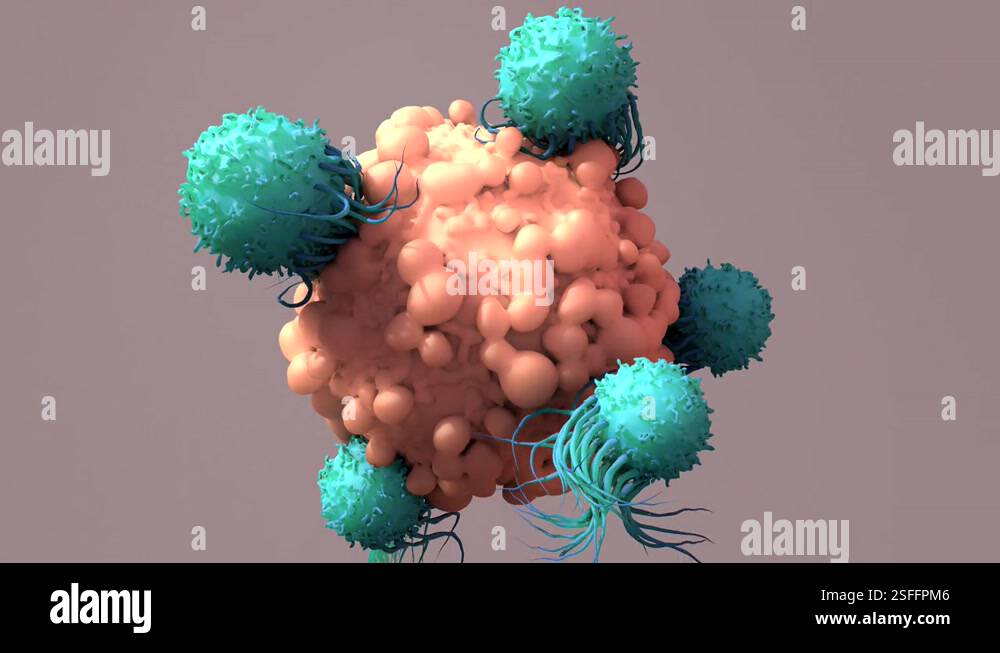 Cells attacking cancer cell Stock Videos & Footage - HD and 4K Video ...