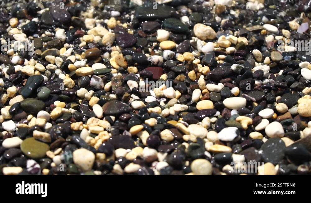 Close-up texture of fine Black, white and beige color Sea stones pebble ...