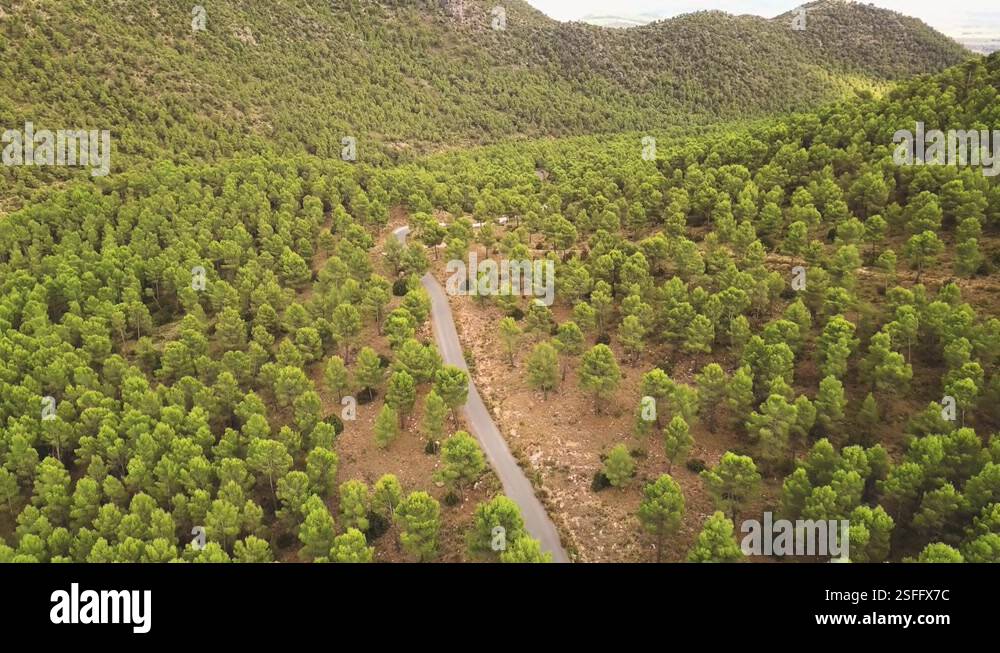 Deciduous Dense Trees On Steep Mountain Slopes With Isolated Asphalt ...