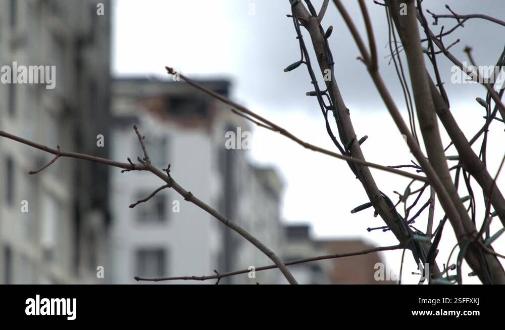 Ukraine. Bucha. War in Ukraine. Residential buildings bombed by Russian ...