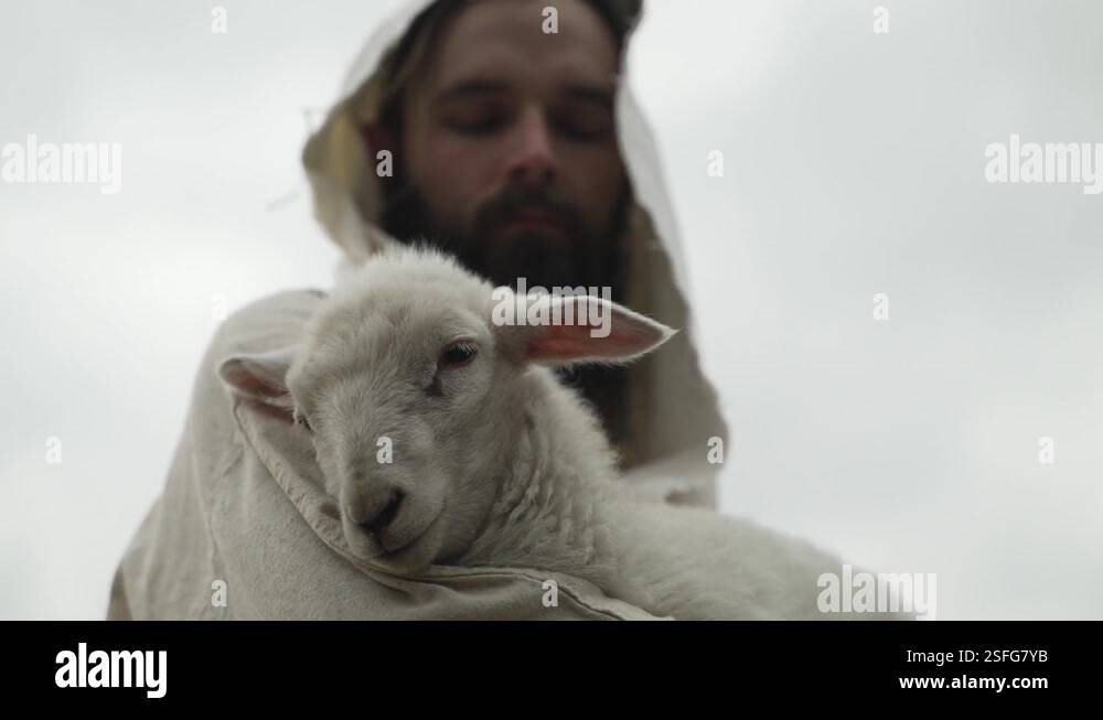- Jesus Christ, good shepherd, Psalm 23, teaching, sermon, church Stock ...