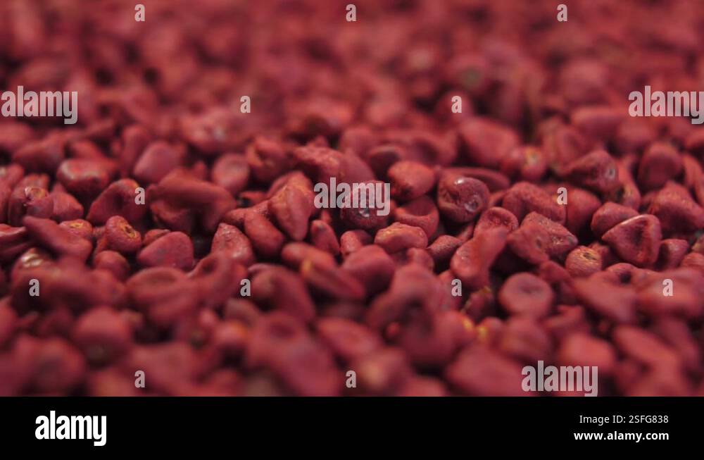 Annatto food coloring seed Stock Videos & Footage - HD and 4K Video ...