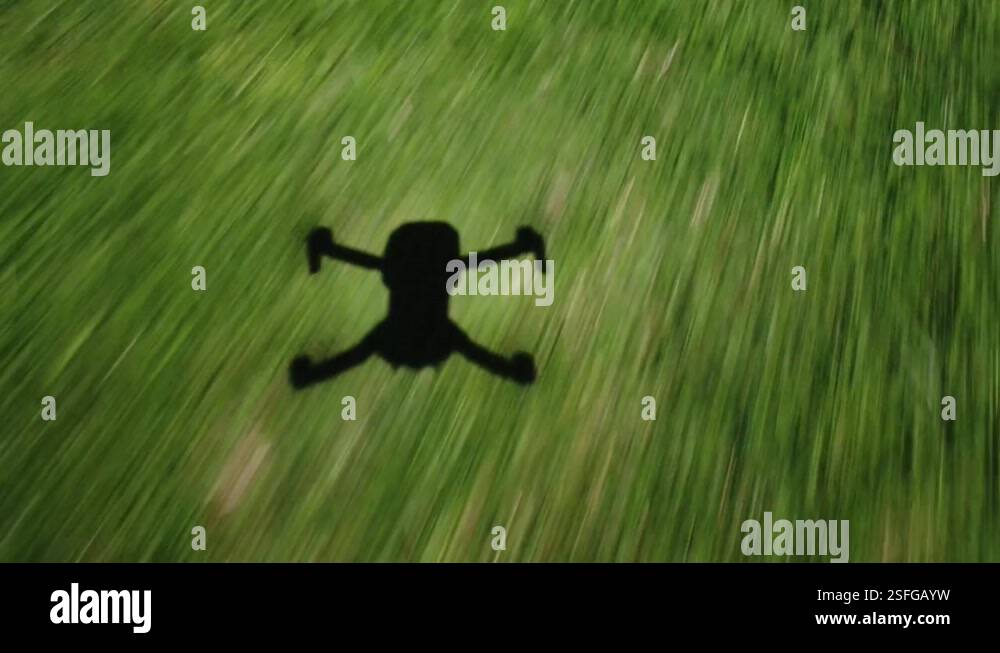 Shadow silhouette of drone flying above grass field into treeline Stock ...
