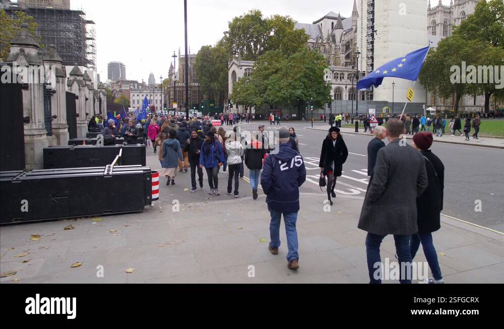 London crowds pass EU flag holding protestor next to Houses of ...