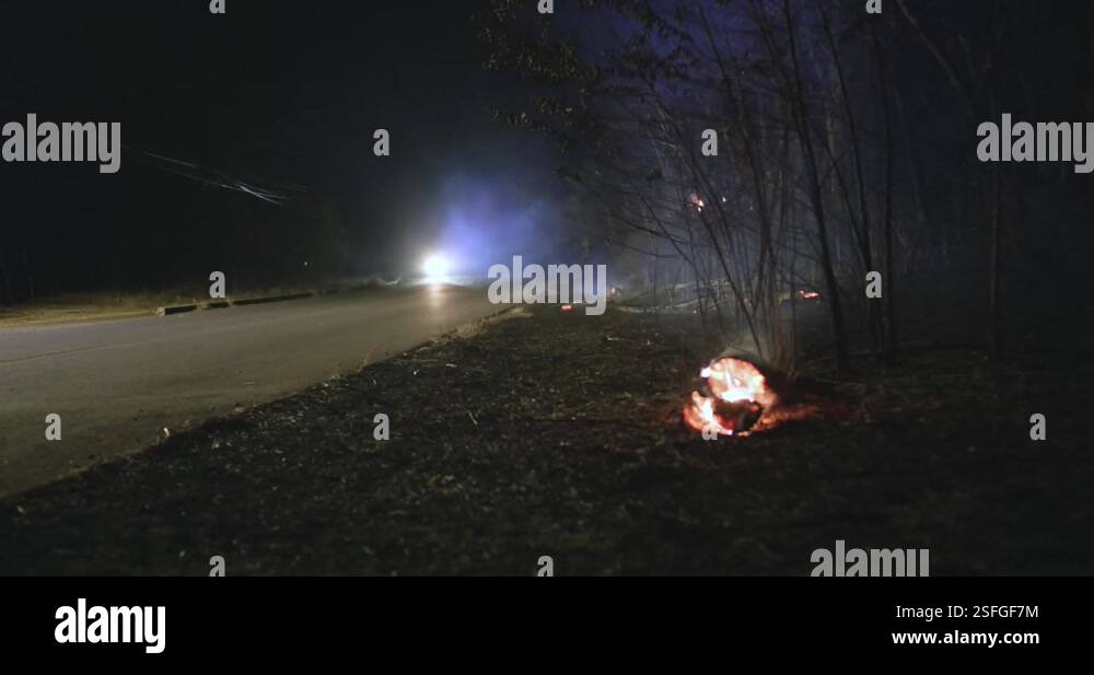 motorcycles light up the road at night passing by fire-devastated woods ...