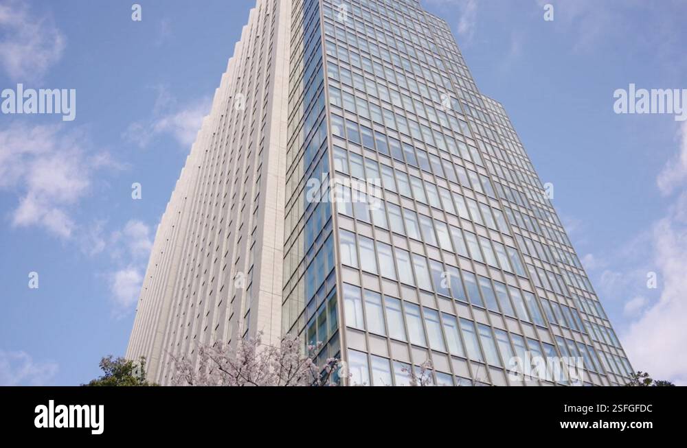 Tokyo Skyscraper, Clean Warm Environment with Blooming Sakura Tree ...