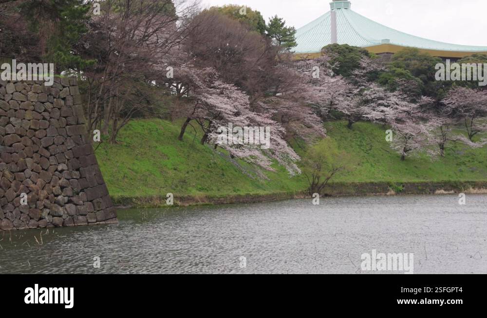 Nippon budokan tokyo Stock Videos & Footage - HD and 4K Video Clips - Alamy
