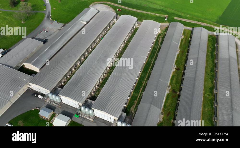 Chicken poultry farm operation. Aerial of massive factory farm complex ...