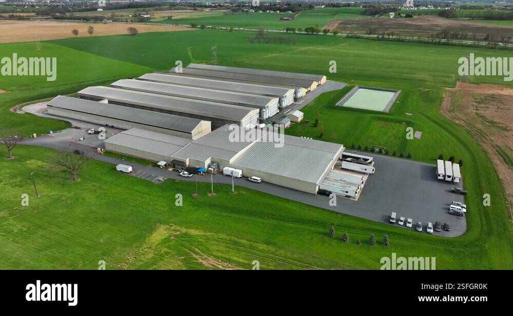 Commercial broiler Stock Videos & Footage - HD and 4K Video Clips - Alamy