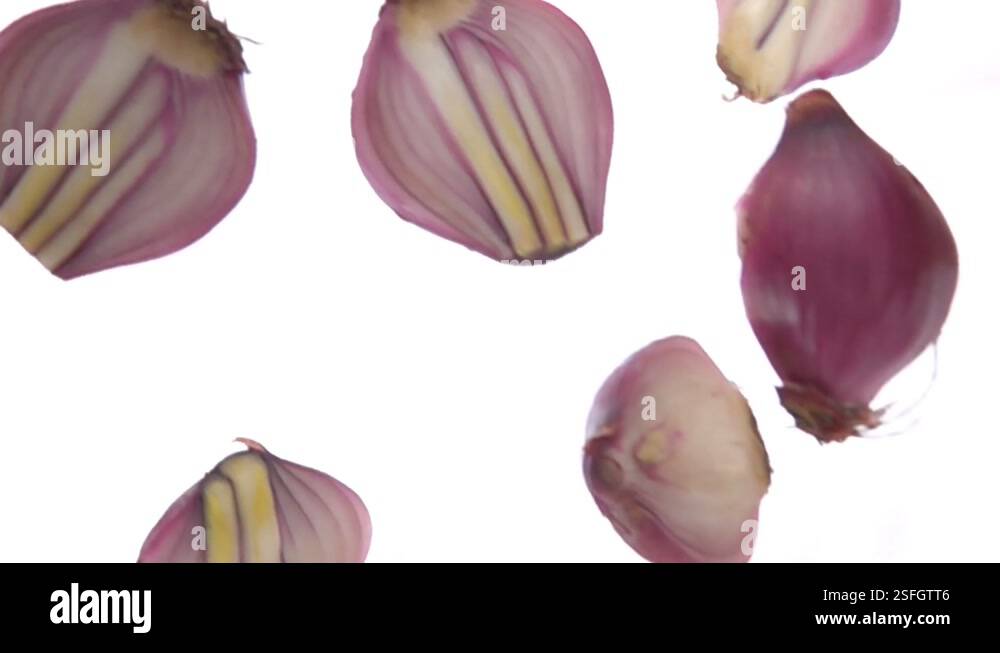 Halves of little red onion halves are falling and rotating on a white ...