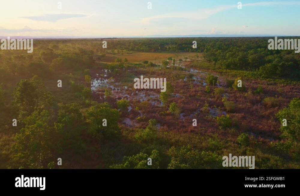 Water runoff and erosion caused by deforestation of the Amazon ...