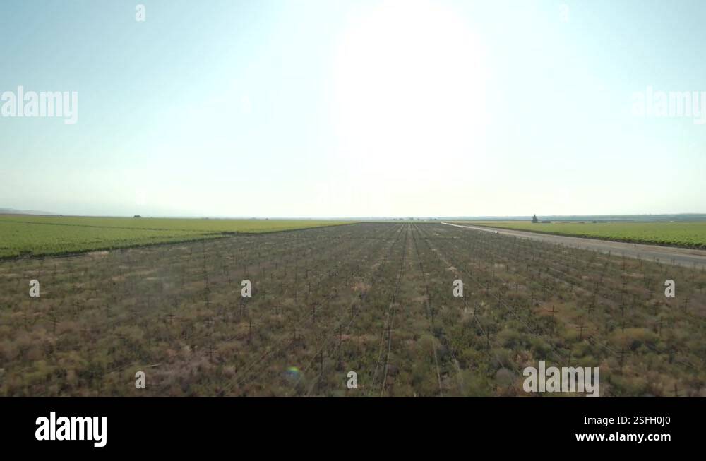 A vineyard on a vast farm with other crops growing in rows - aerial ...