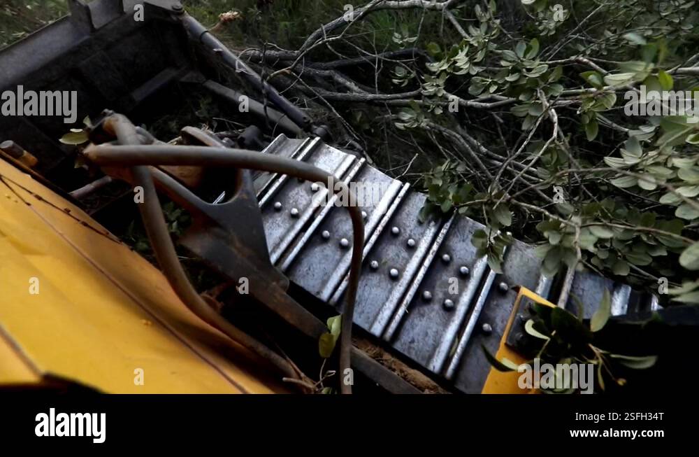 Looking at the lethal tread of a crawler dozer tractor as it deforests ...