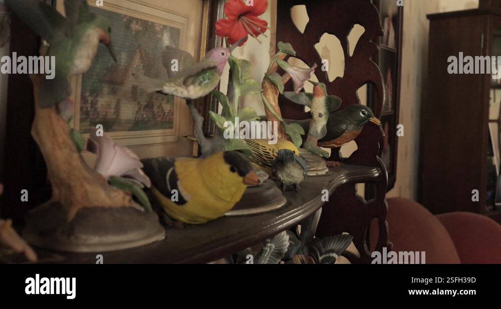 Corner shelf with vintage bird figurines and flowers Stock Video ...