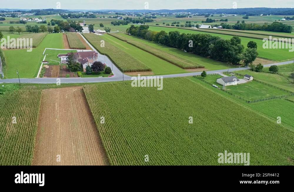 An Aerial View of Corn Fields and Fertile Farmlands and Farms on a ...