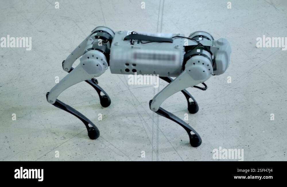Mechanical dog Stock Videos & Footage - HD and 4K Video Clips - Alamy