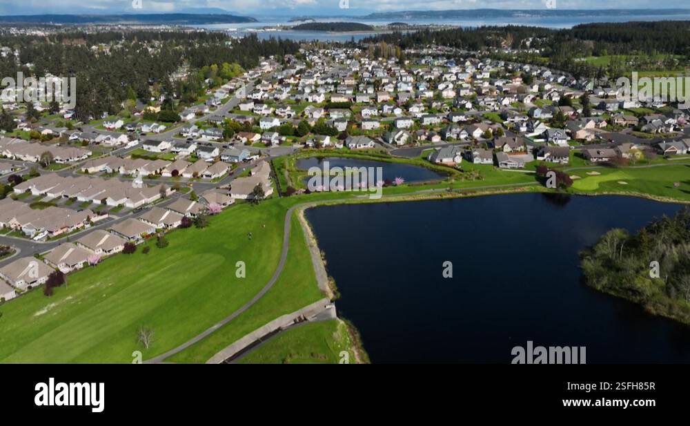 Tilting aerial shot from a golf course to Oak Harbor's neighborhood ...