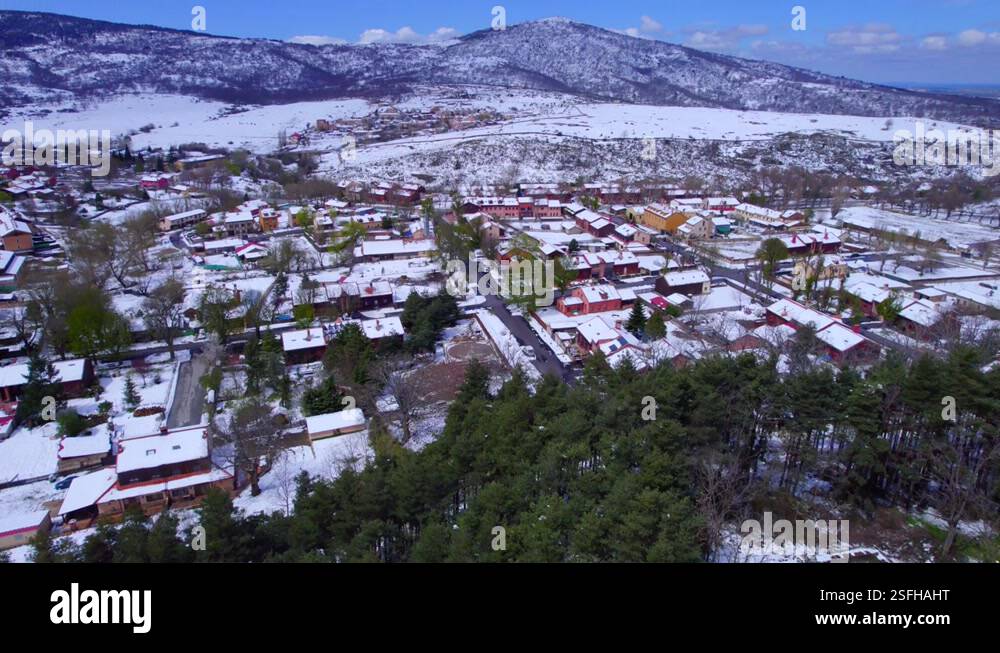 Tilt-up reveal over the Pine Tree woodlands of the Alpine town of ...