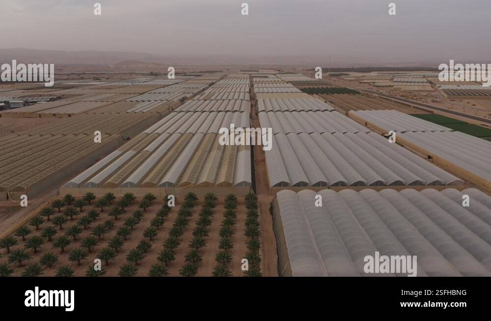 Israel farming and food production, drone footage greenhouses Negev ...